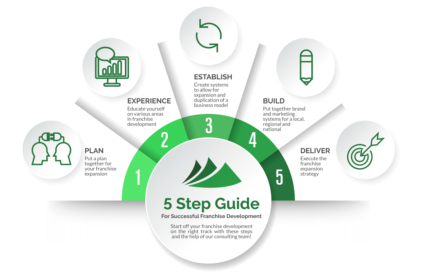 5StepGuide-Infographic - Franchise Marketing Systems